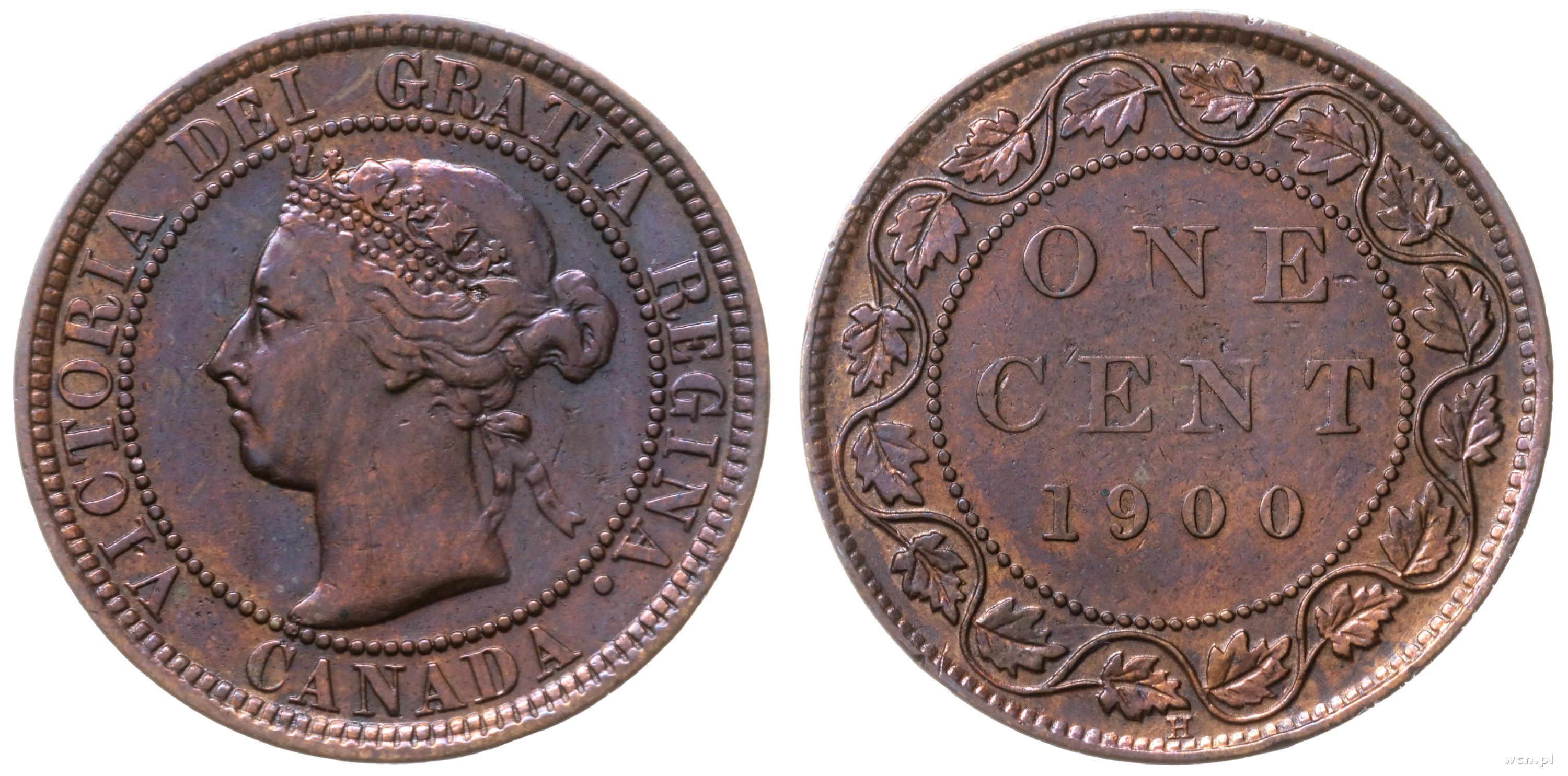 1 Cent 1900 H Kanada E aukcja Warszawskie Centrum Numizmatyczne 1 Cent 1900 H Kanada E aukcja Warszawskie Centrum Numizmatyczne
