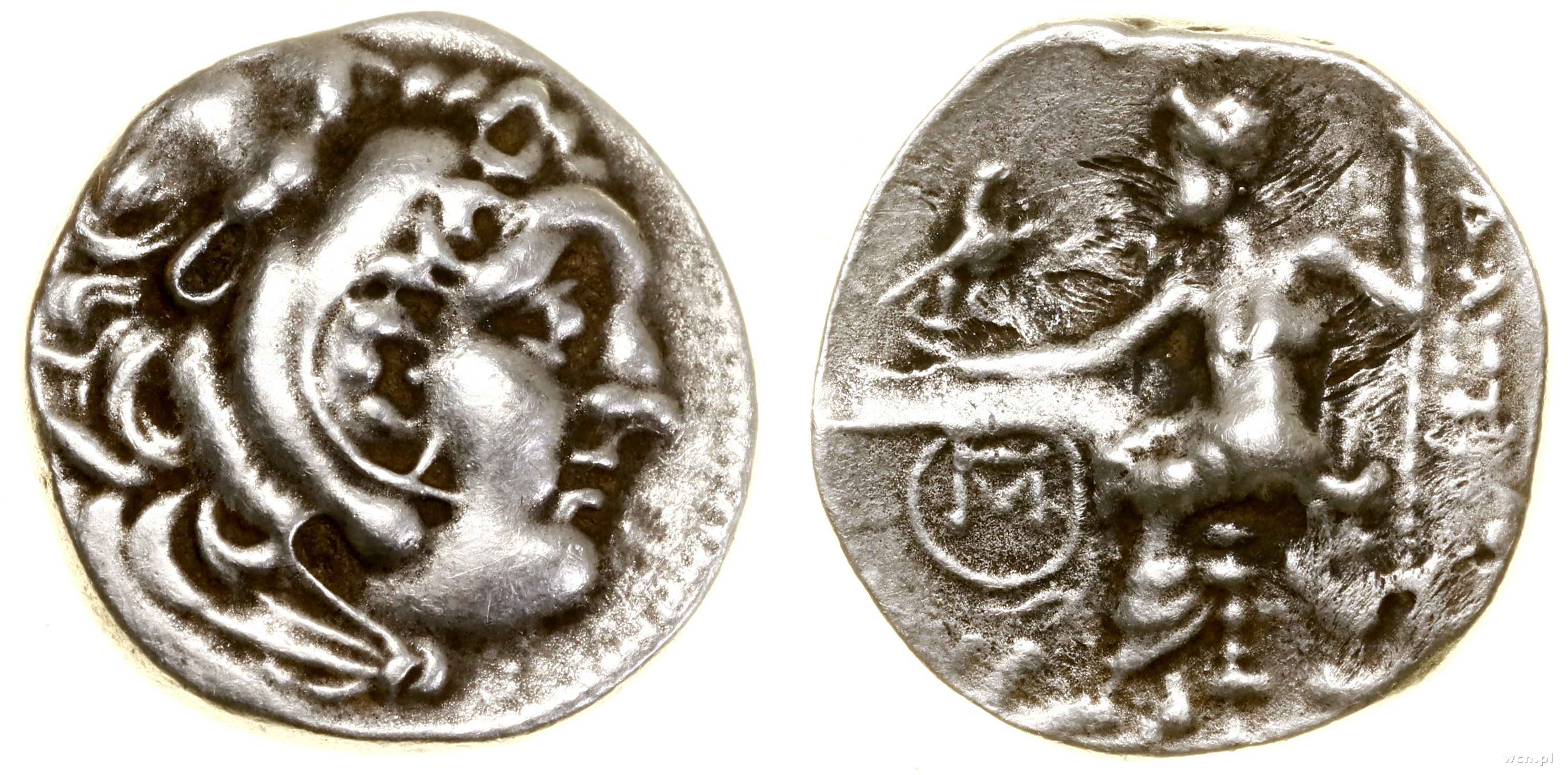 WCN Archiwum 352117