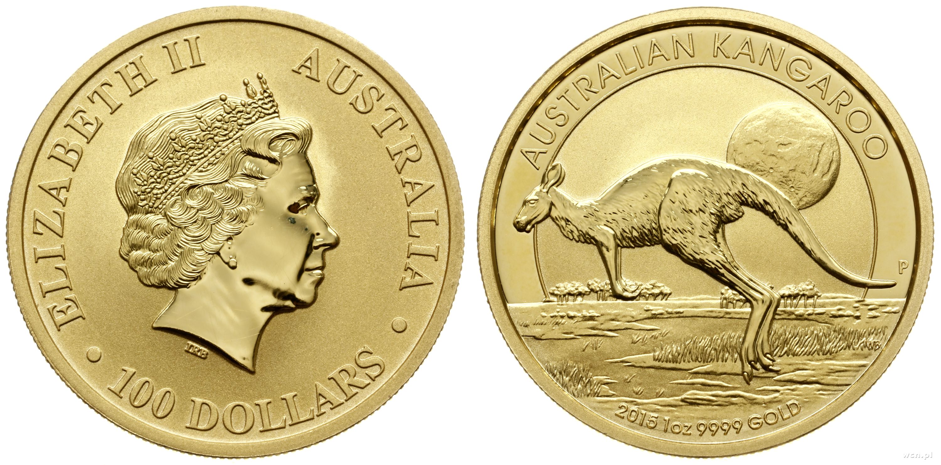 100 Dolar w 2015 Kangur Australijski Australia Warszawskie Centrum